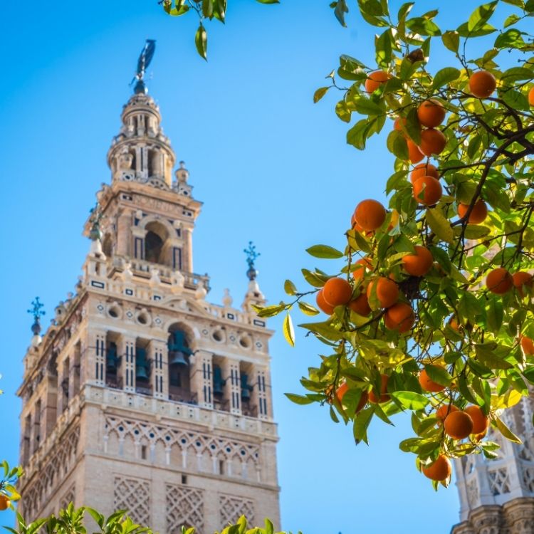 W2M WORLD2MEET DMCFinder - Destination Management Company